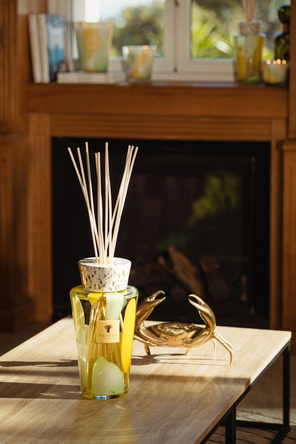Baobab Collection - Luxury Scented Candles and Home Fragrances – Baobab ...